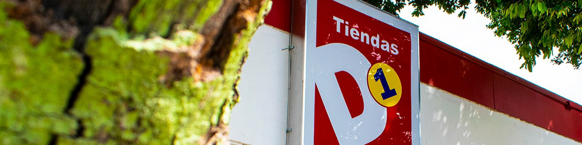 Valorem | Grupo empresarial de alto prestigio en Colombia