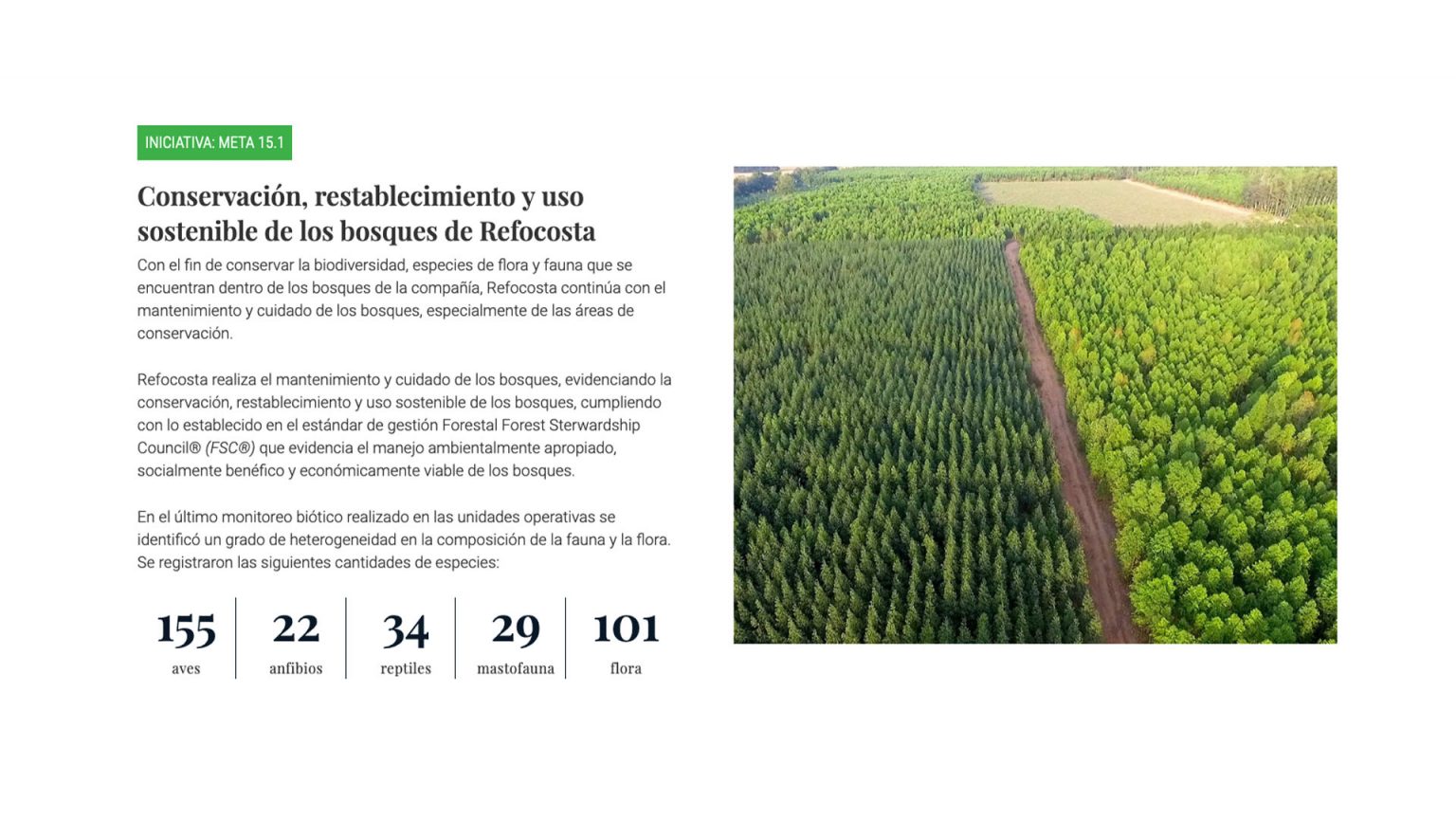 Valorem | Grupo empresarial de alto prestigio en Colombia